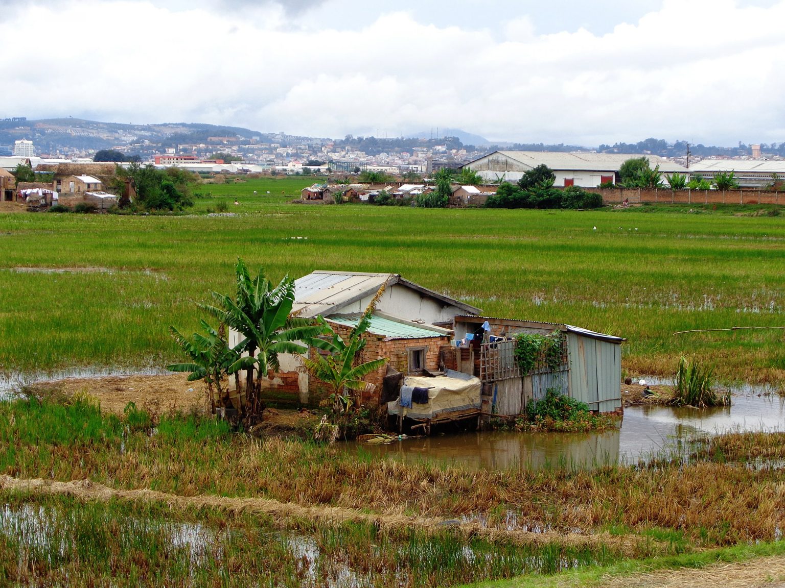 Madagascar - Small World Adoption